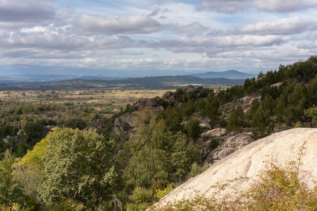 Parc forestier de Monsanto : le poumon vert de Lisbonne